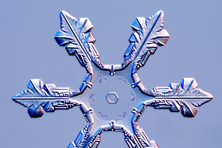 Types Of Snowflakes