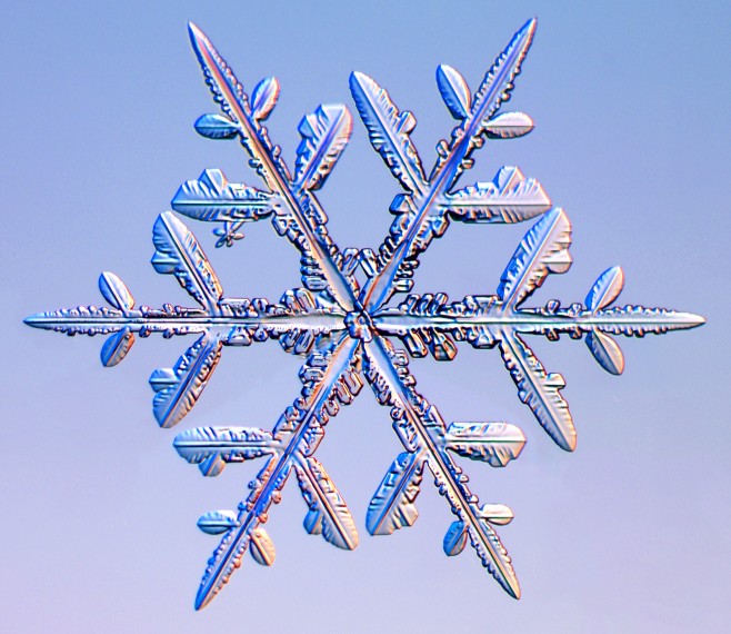 Snowflake And Snow Crystal Photographs